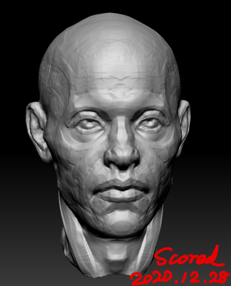 ArtStation - basic excercise head 2020.12.27