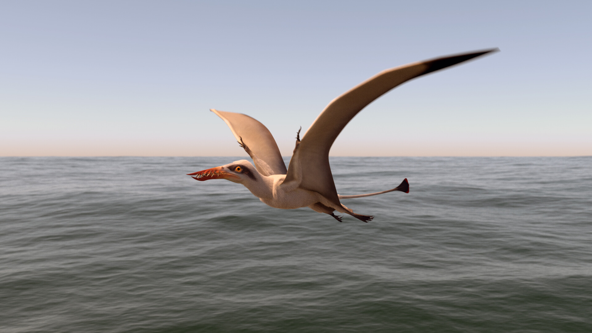 Rhamphorhynchus