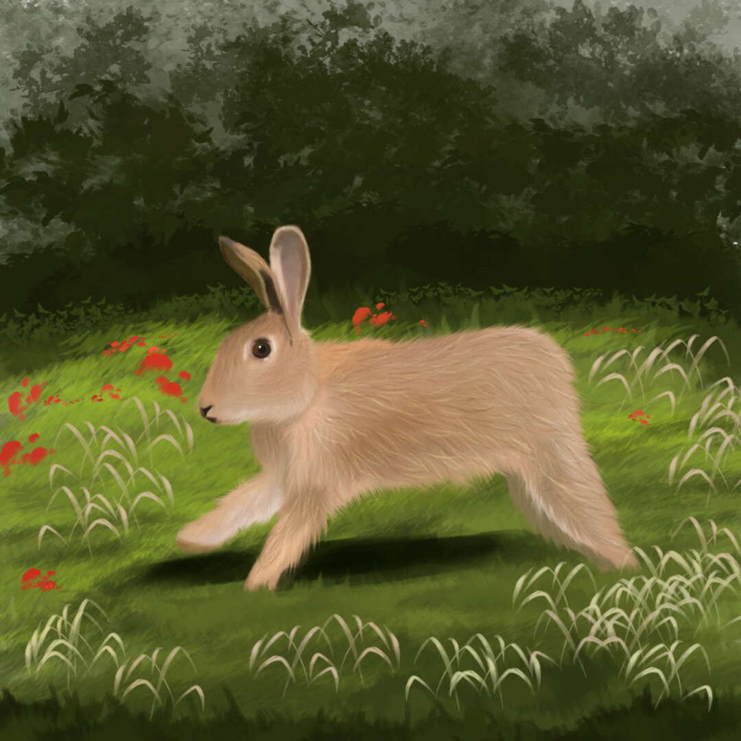 ArtStation - Running bunny