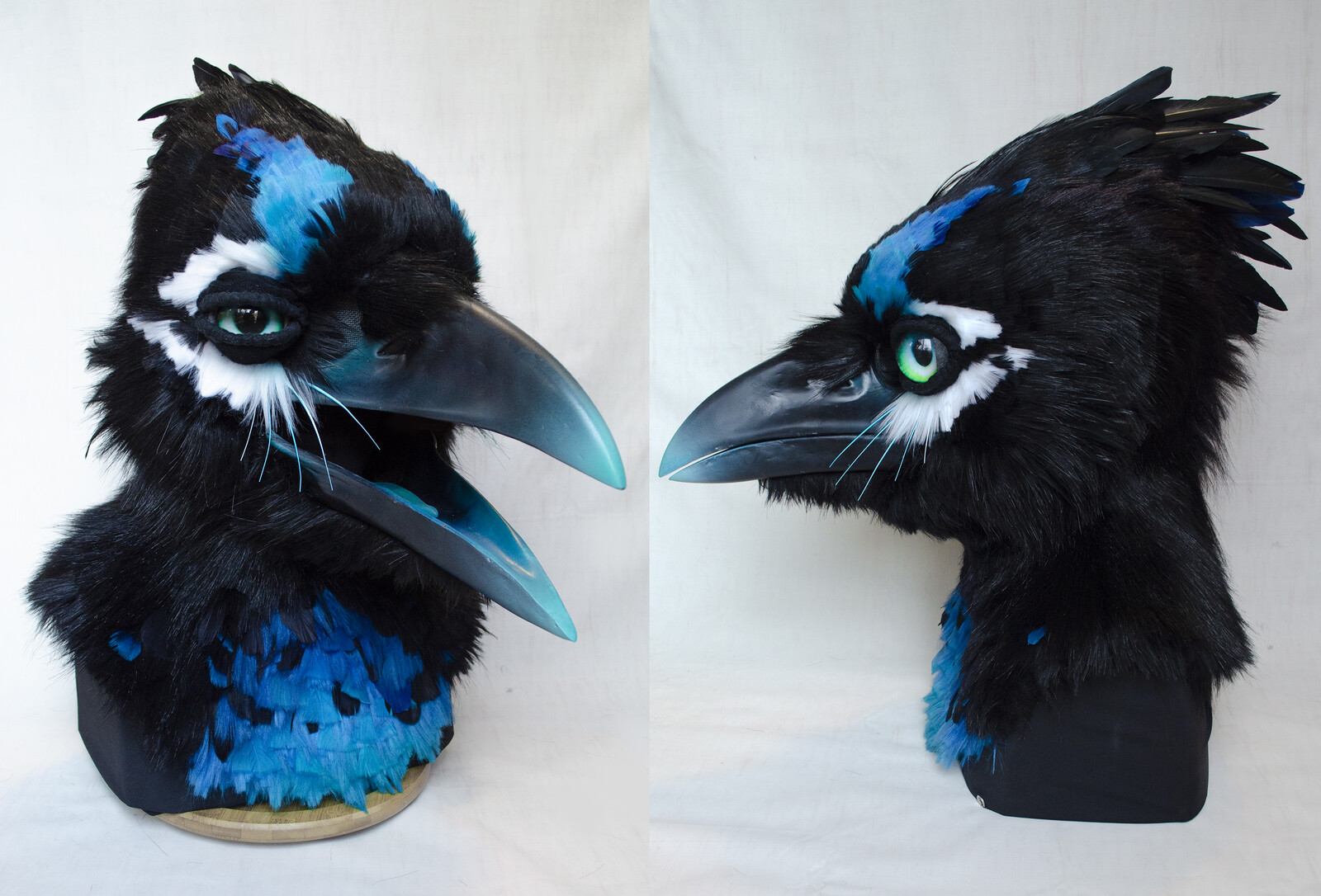 Tai Gordon - Stellar's Jay Mask