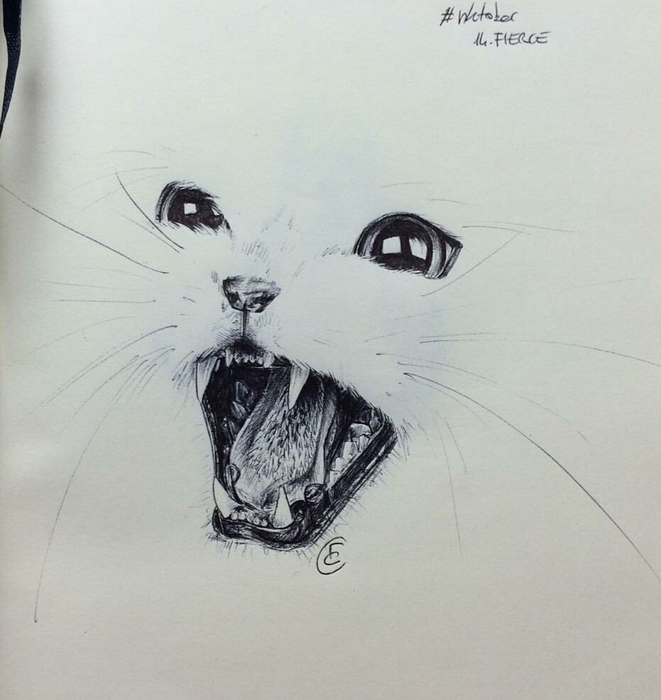 ArtStation - Fierce (kitty)