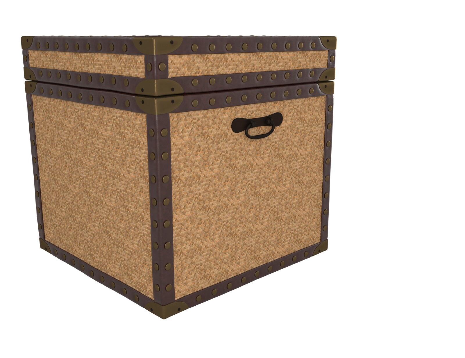 Meghan Geldens - 3D model of Serena Rattan Trunk