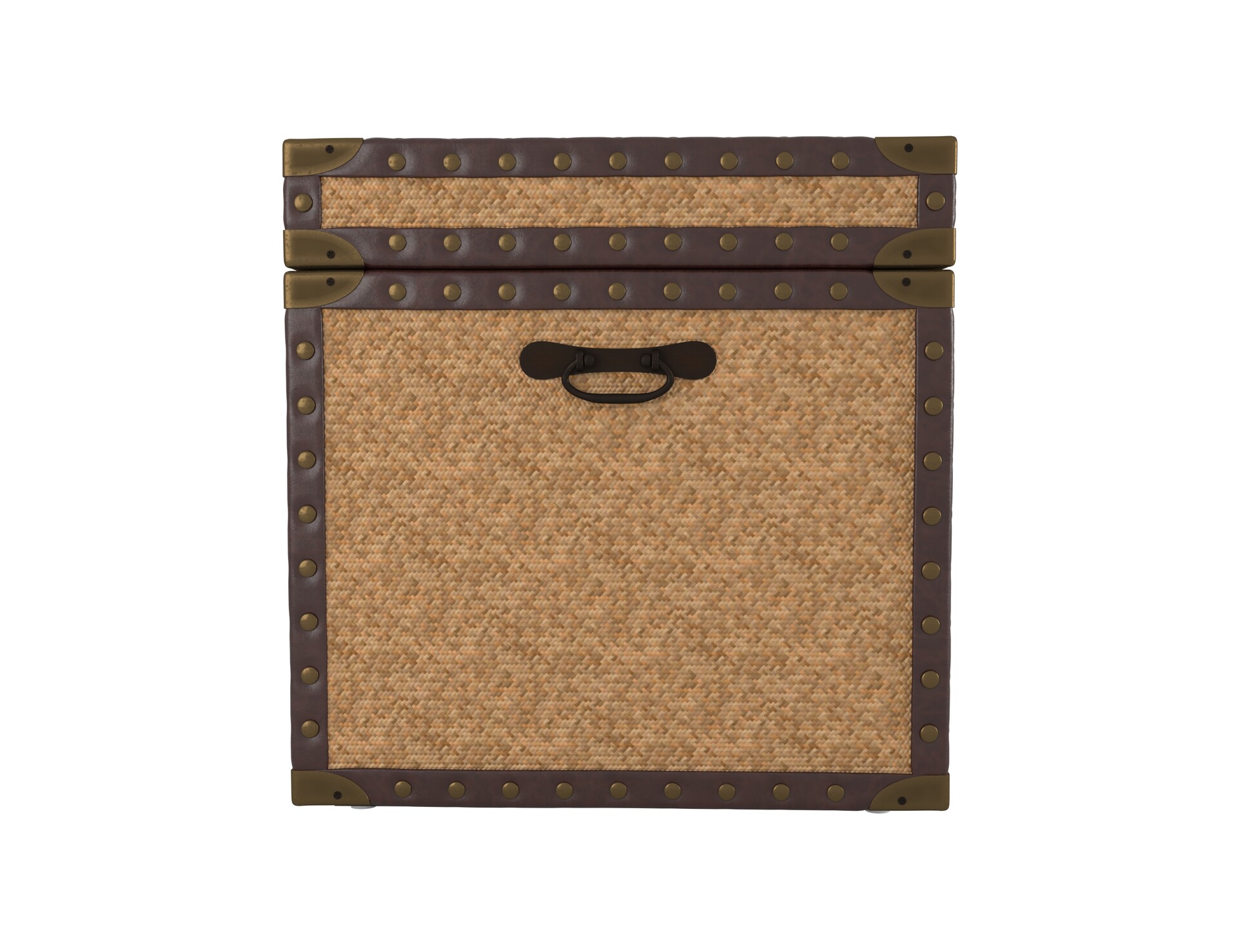 Meghan Geldens - 3D model of Serena Rattan Trunk