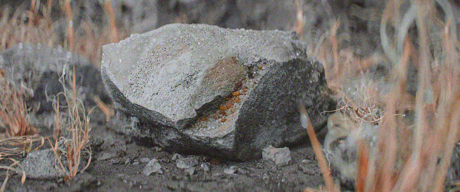 ArtStation - wet stone