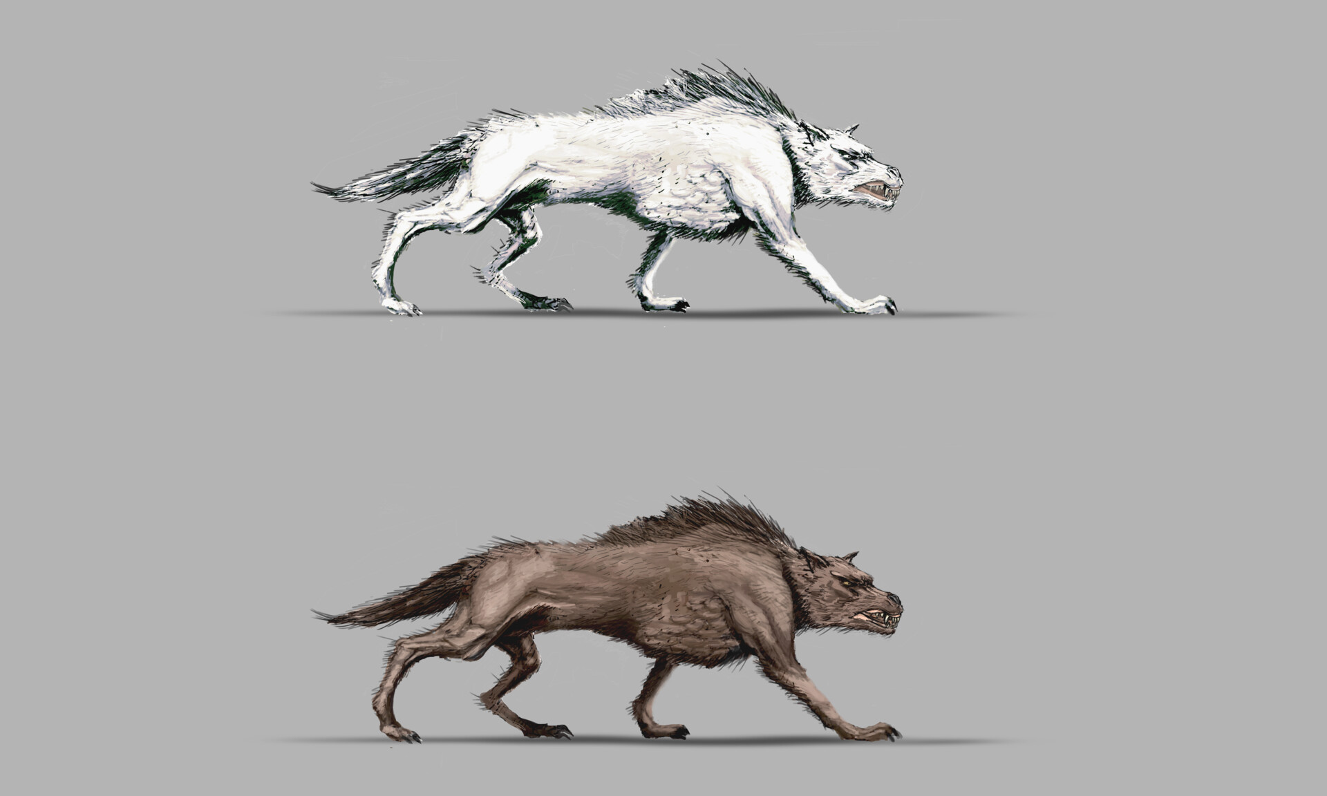 How To Draw Wargs From The Hobbit