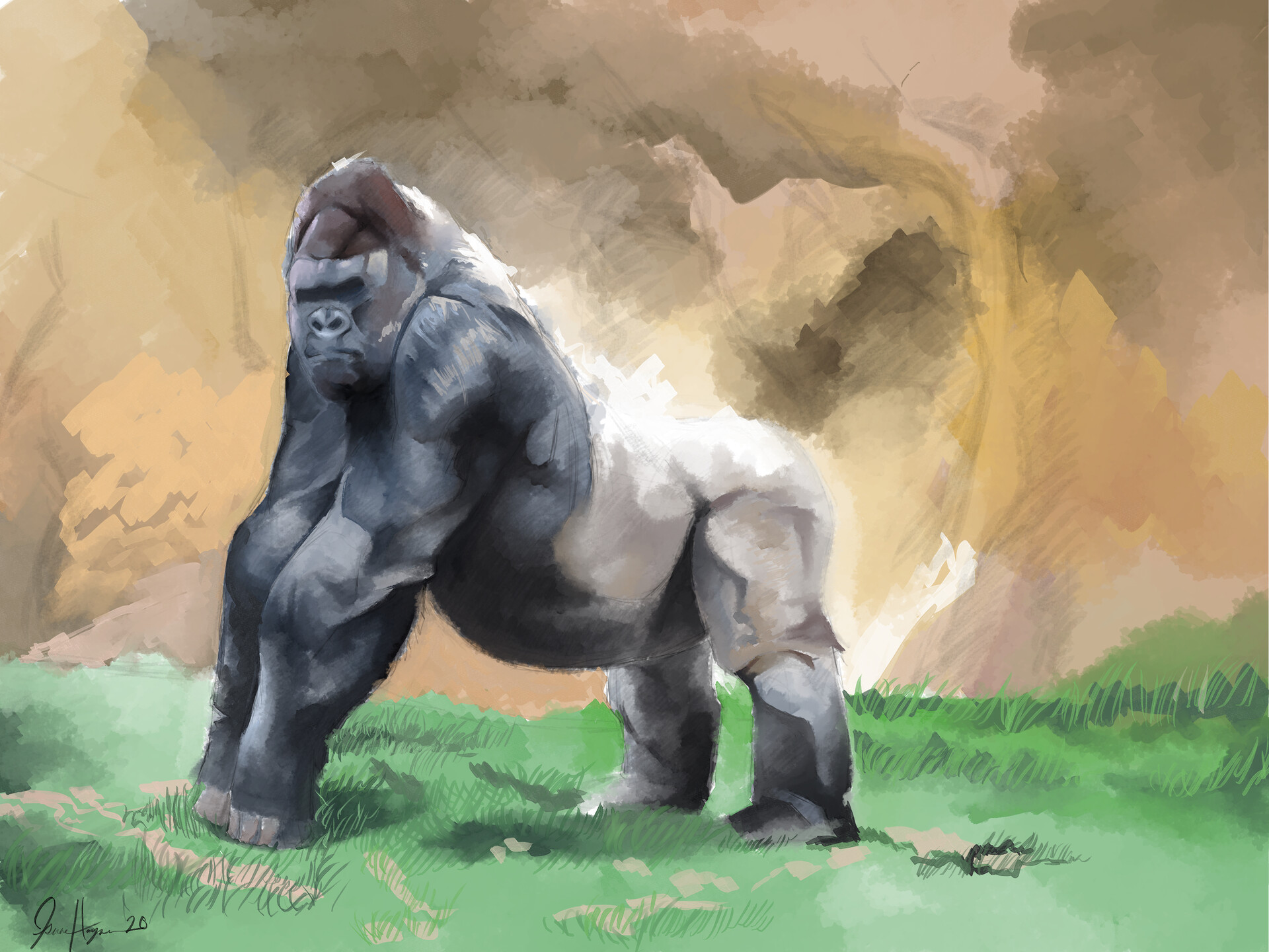 ArtStation - Gorilla