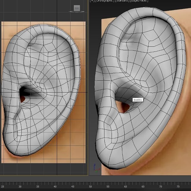 ArtStation - Human Ear model