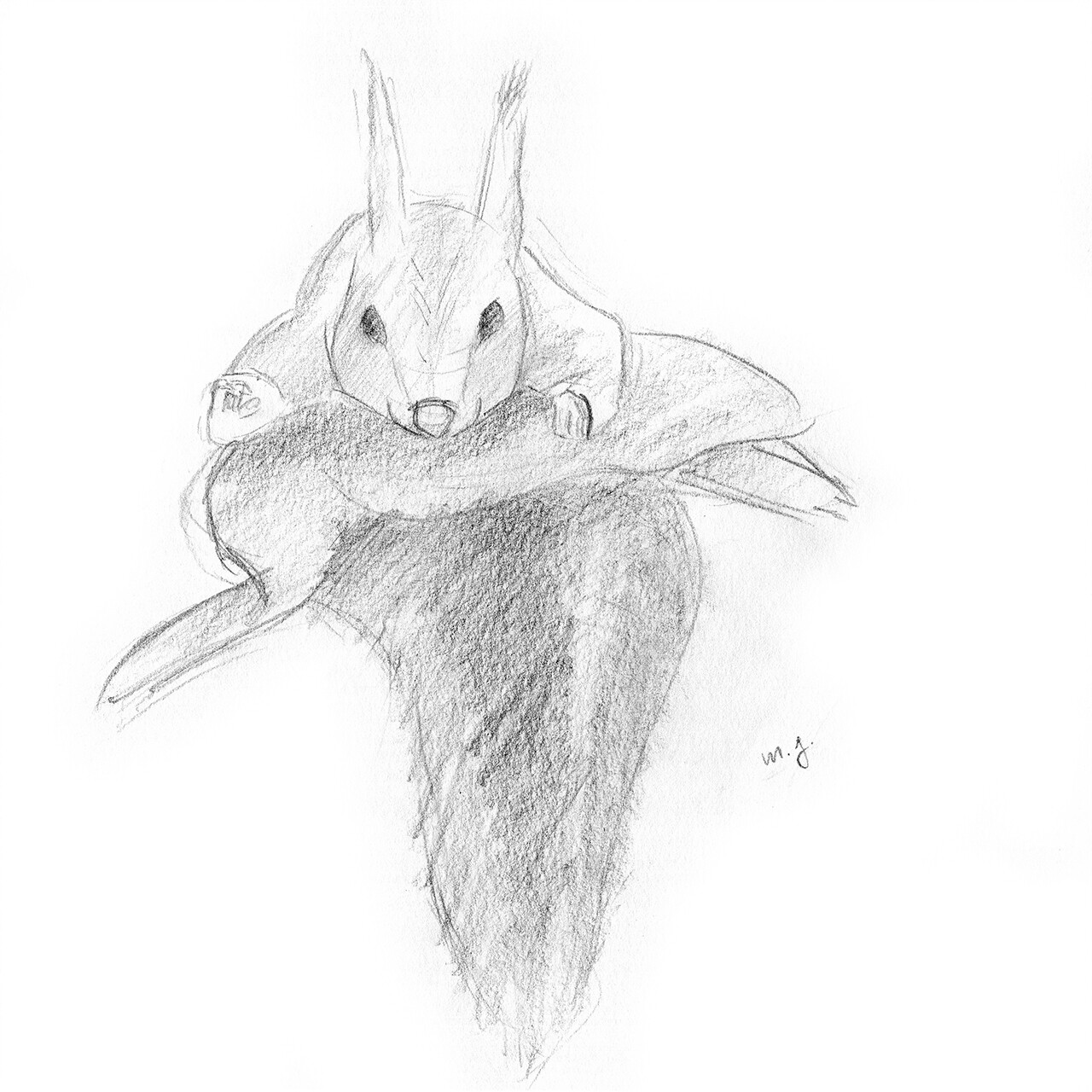 ArtStation - Flying Squirrel