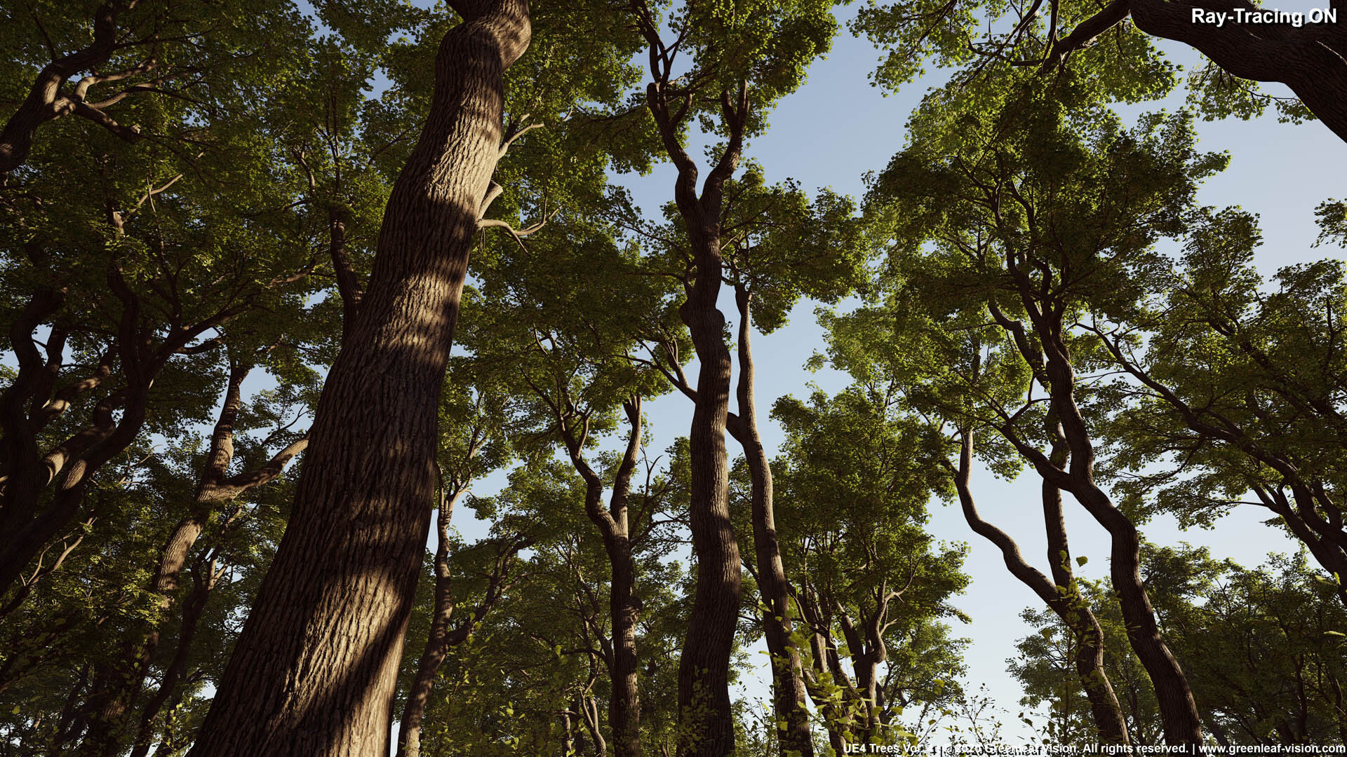 Benjamin Koch - Trees Vol. 4 Pack - Unreal Engine 4