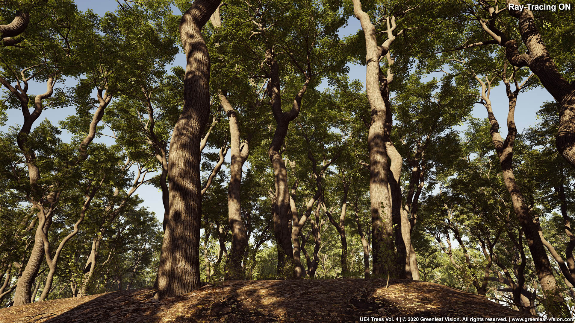 Benjamin Koch - Trees Vol. 4 Pack - Unreal Engine 4