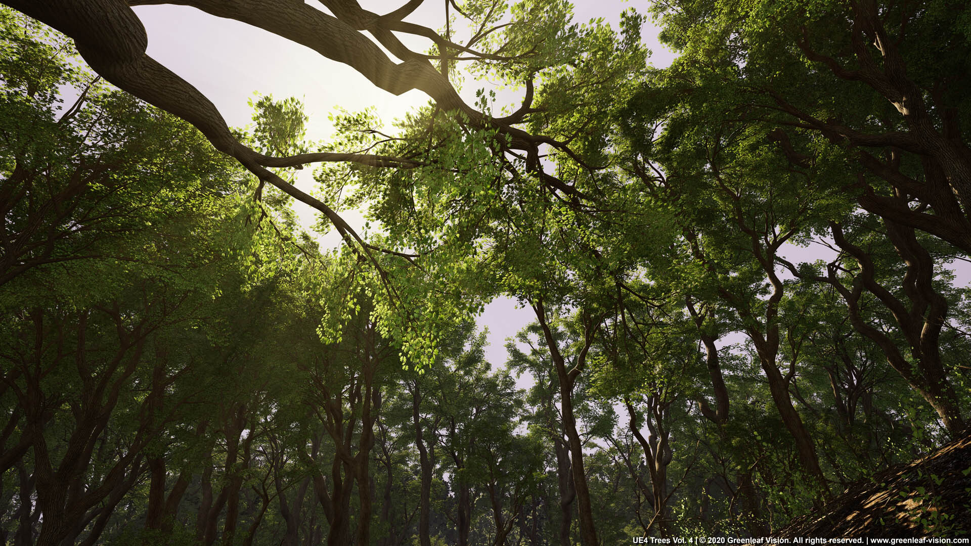 Benjamin Koch - Trees Vol. 4 Pack - Unreal Engine 4