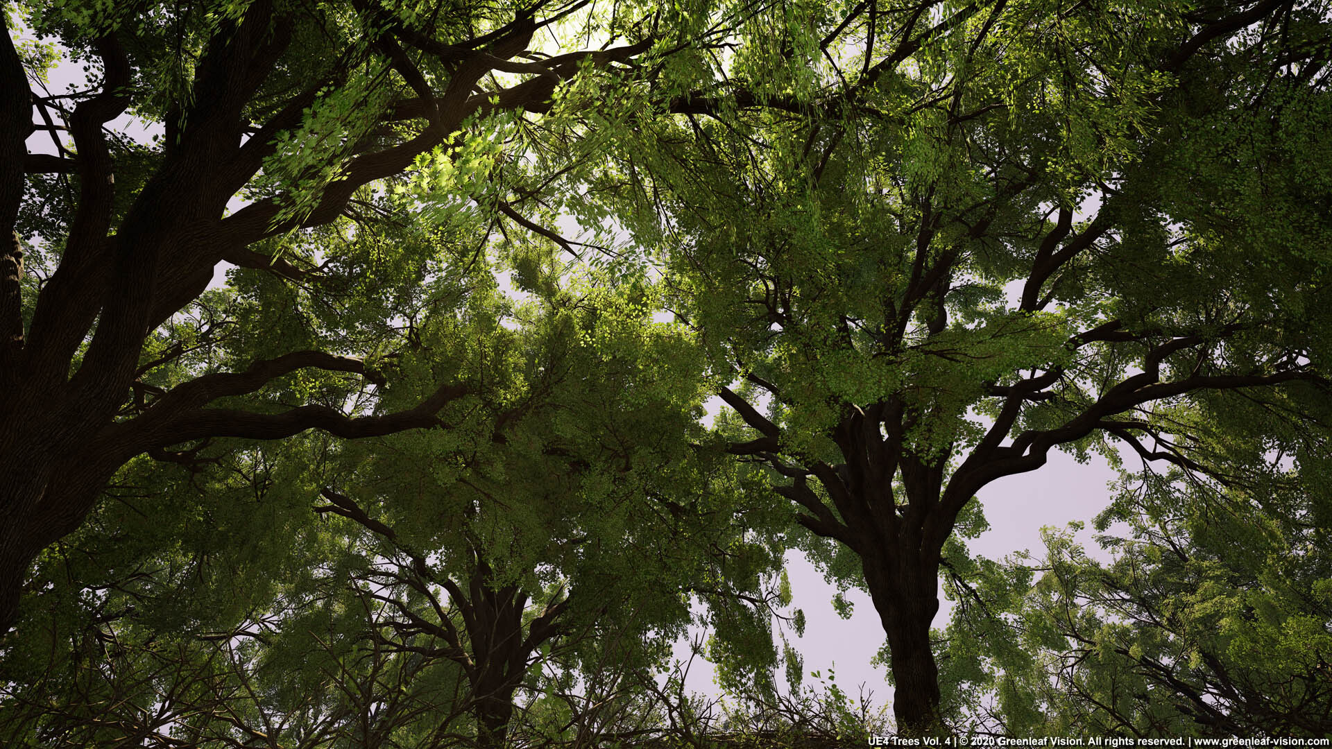 Benjamin Koch - Trees Vol. 4 Pack - Unreal Engine 4