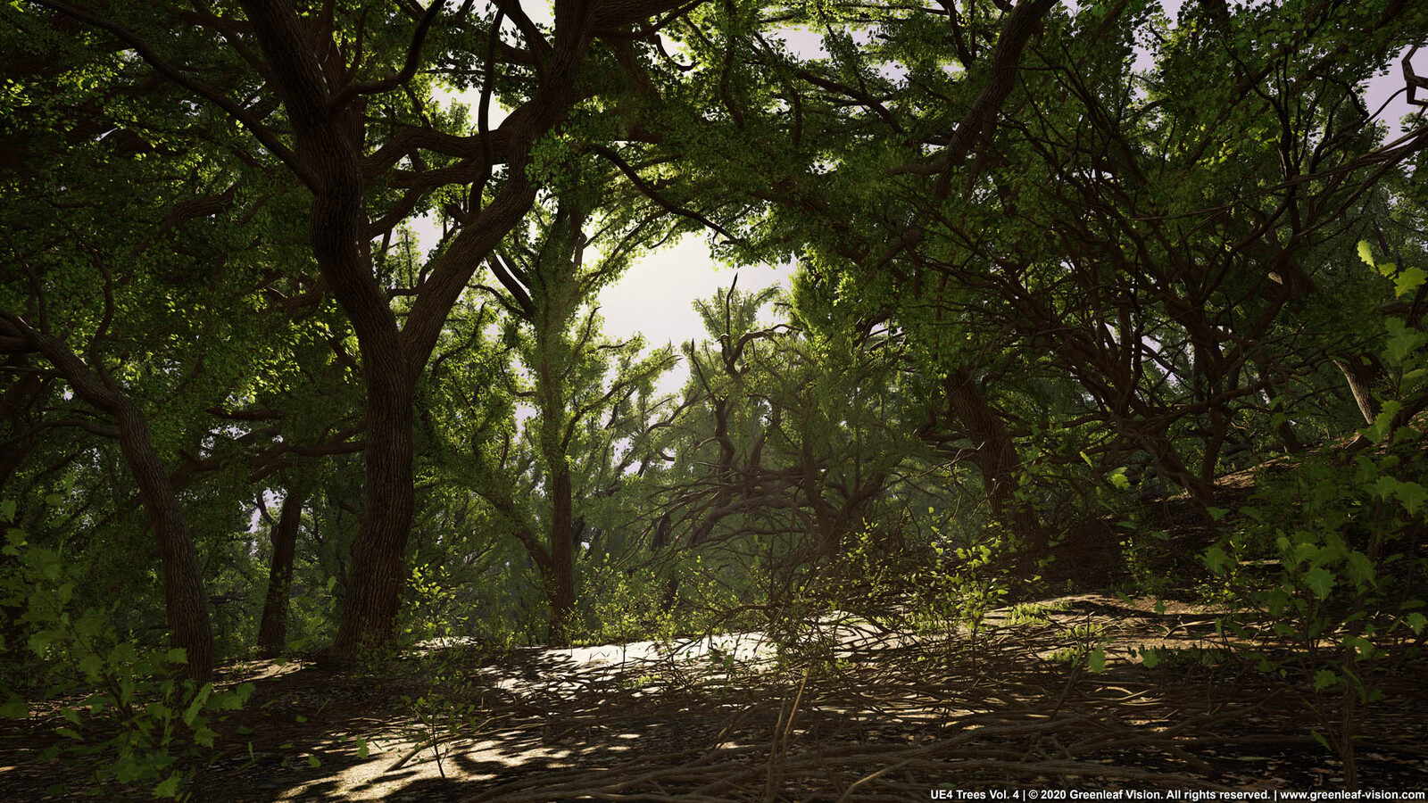 Benjamin Koch - Trees Vol. 4 Pack - Unreal Engine 4