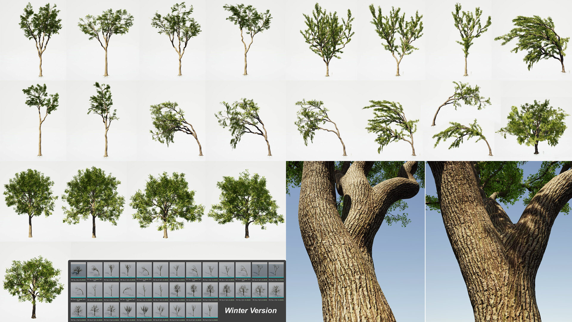 Benjamin Koch - Trees Vol. 4 Pack - Unreal Engine 4