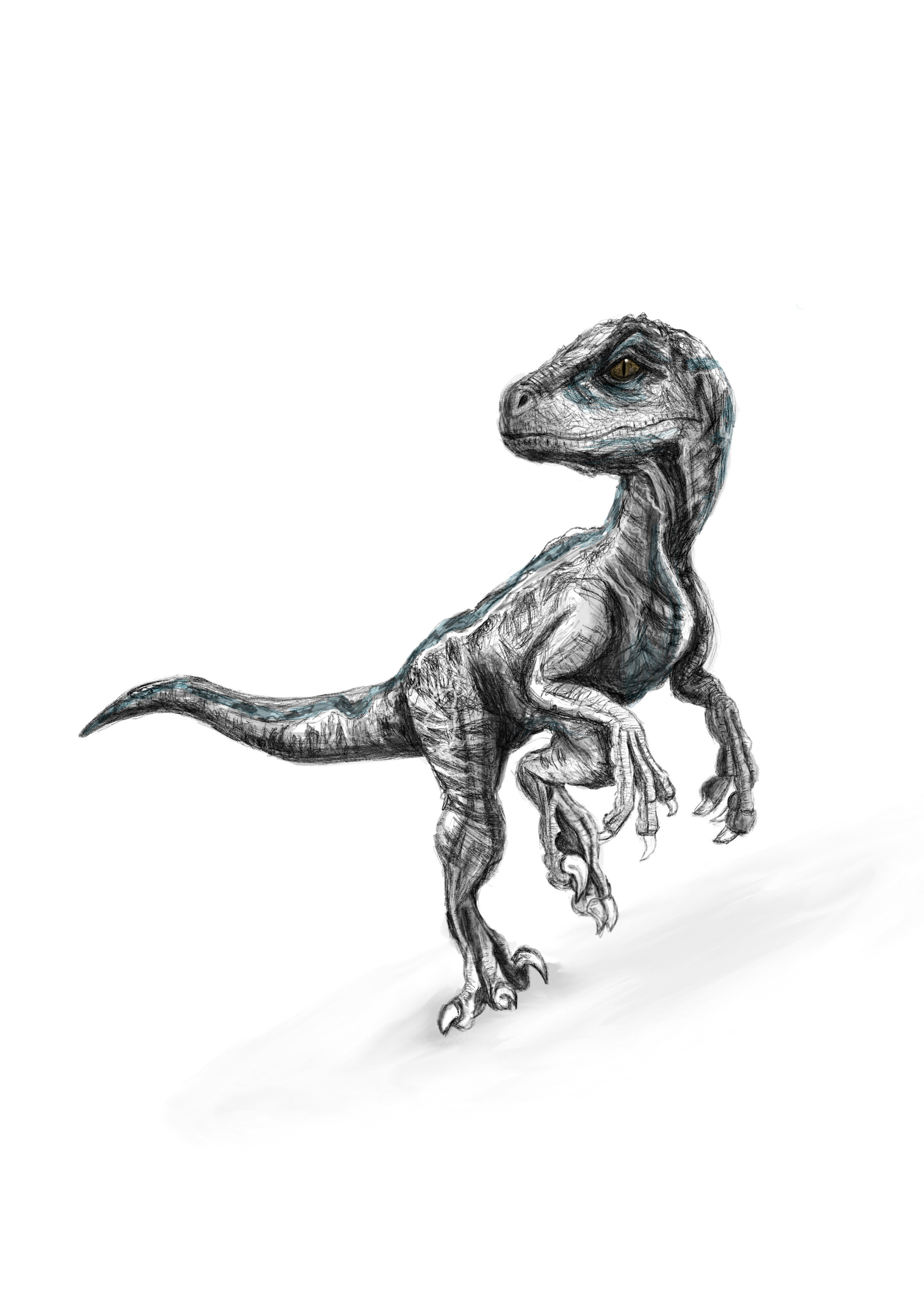 ArtStation - Raptor sketch fan art