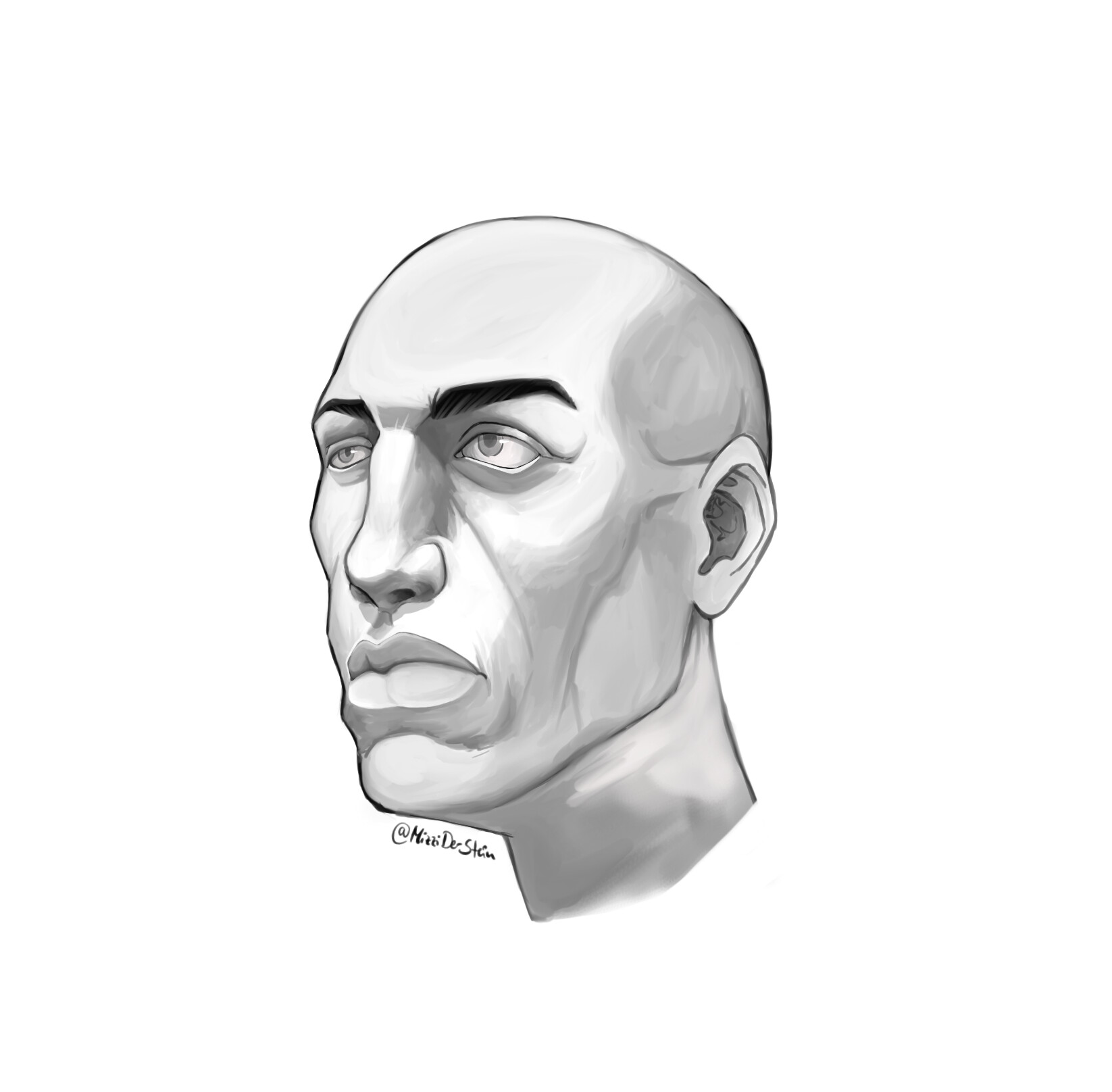 ArtStation - Anatomy Head Practise