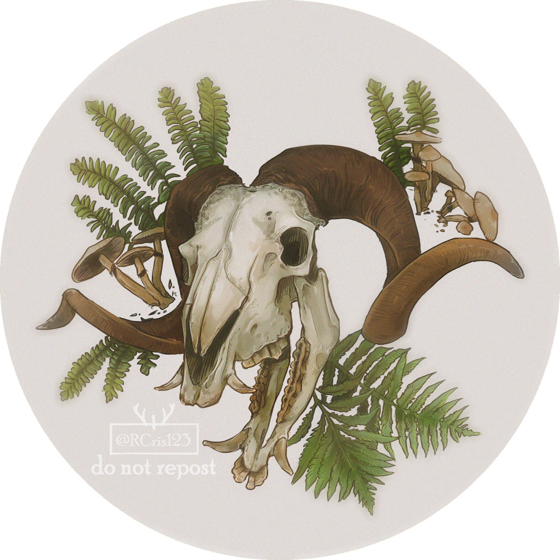 ArtStation - Ram Skull