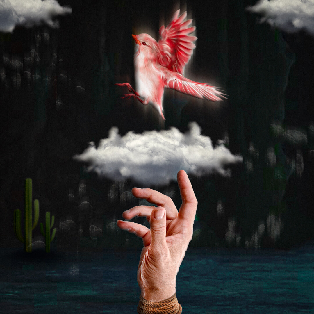 ArtStation - FLY HIGH