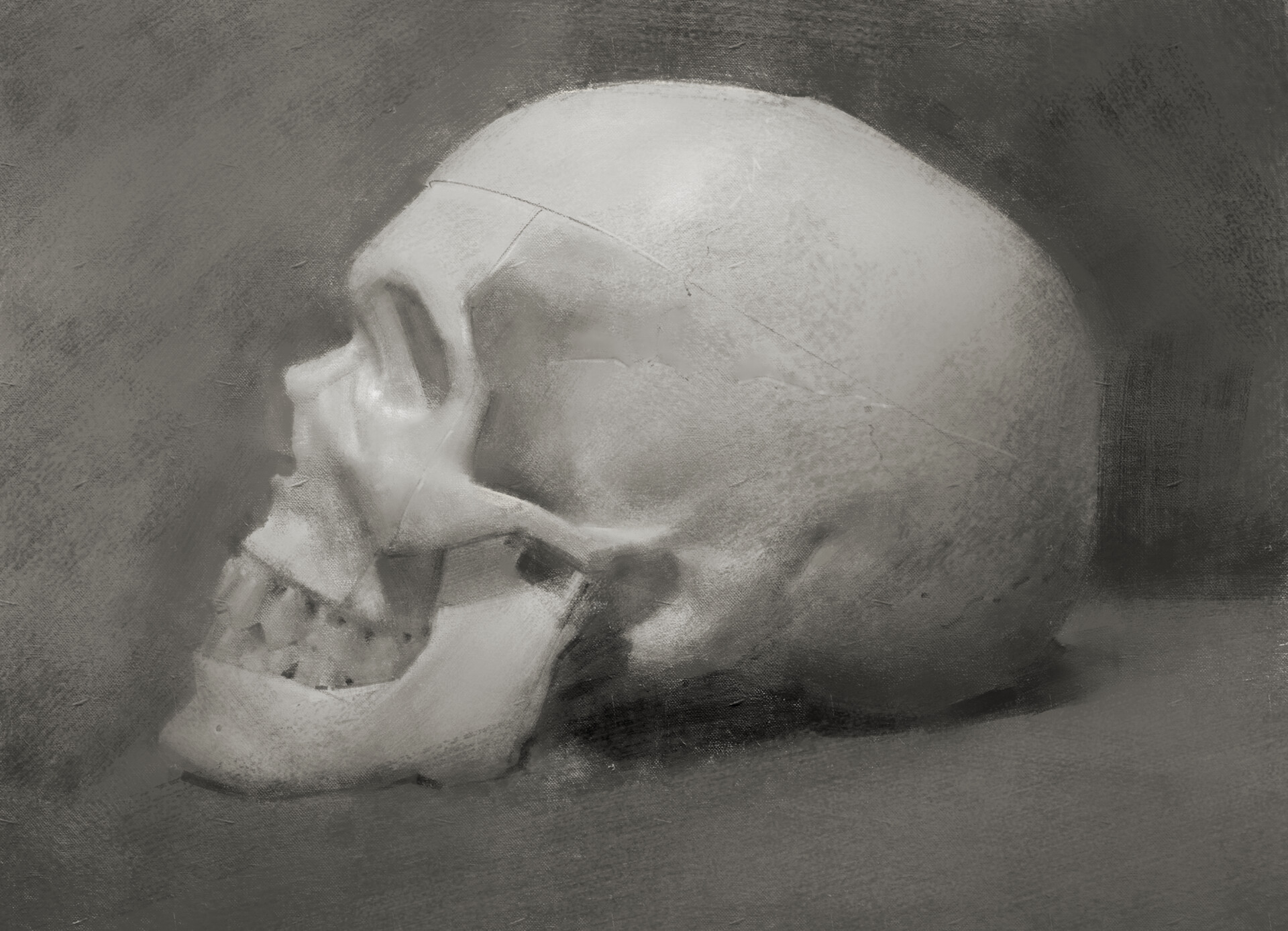 ArtStation - Skull sketch practice