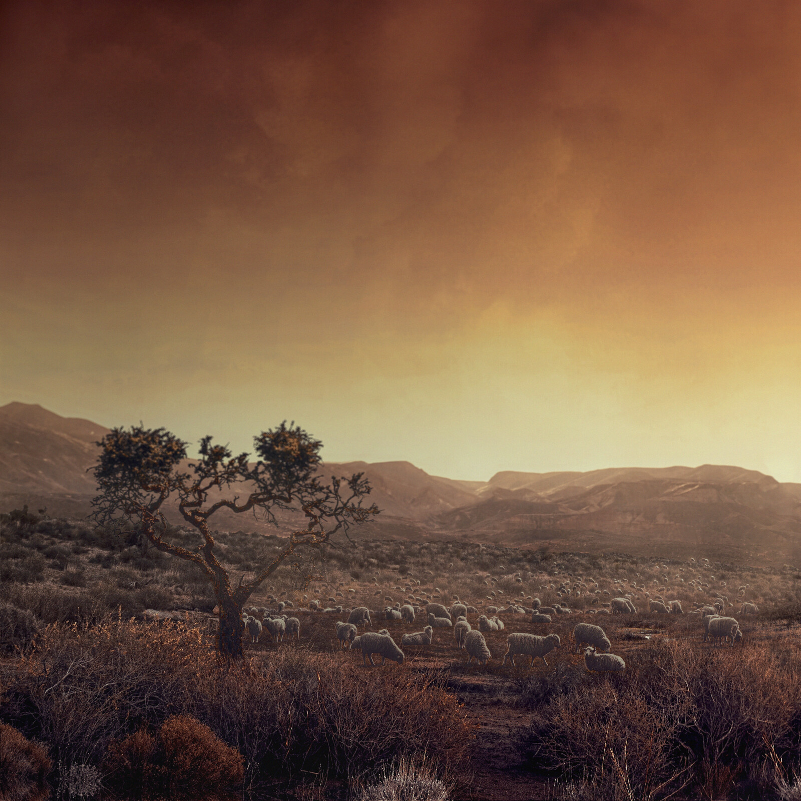 NiL Draloscona (Nicolas Roland) - Matte Painting