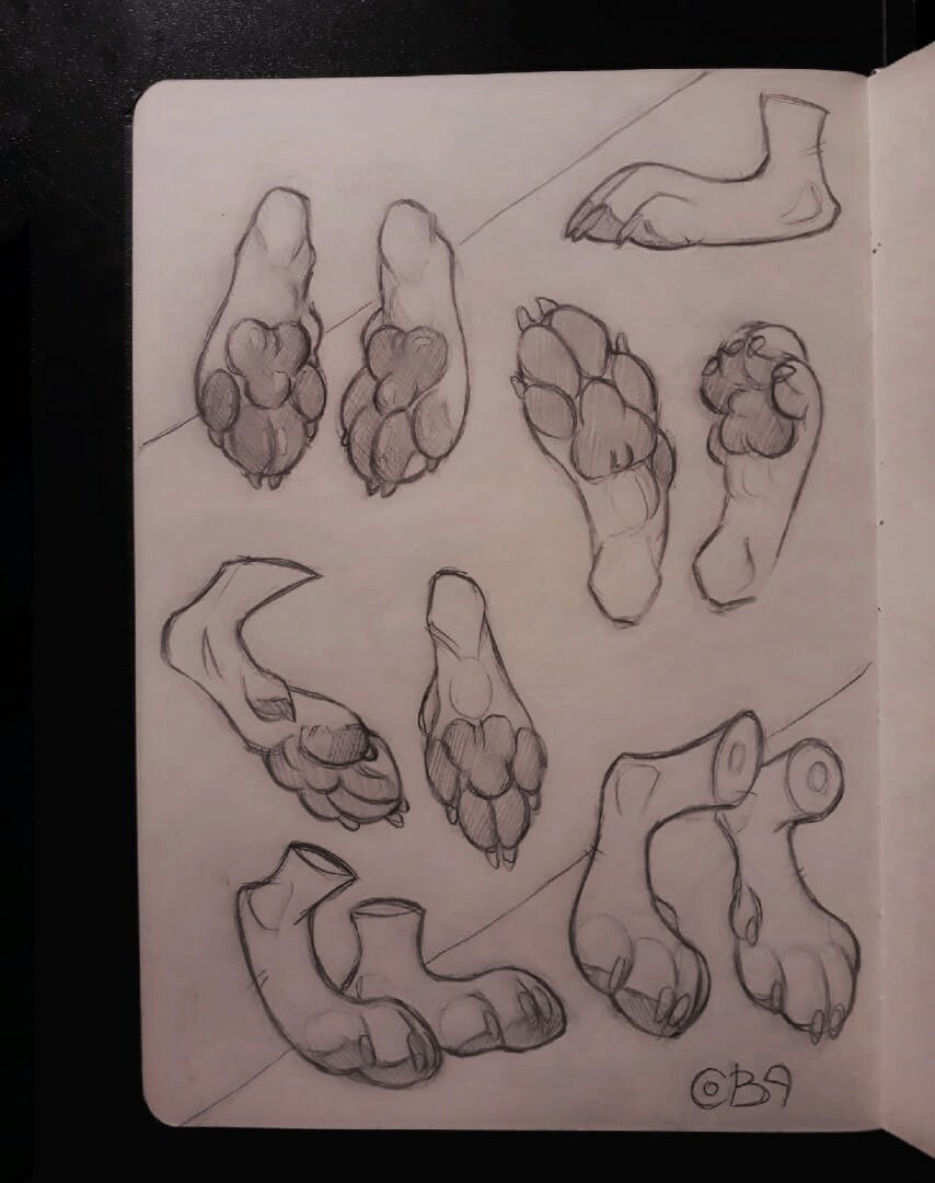 ArtStation - a sketch of the paws of animals
