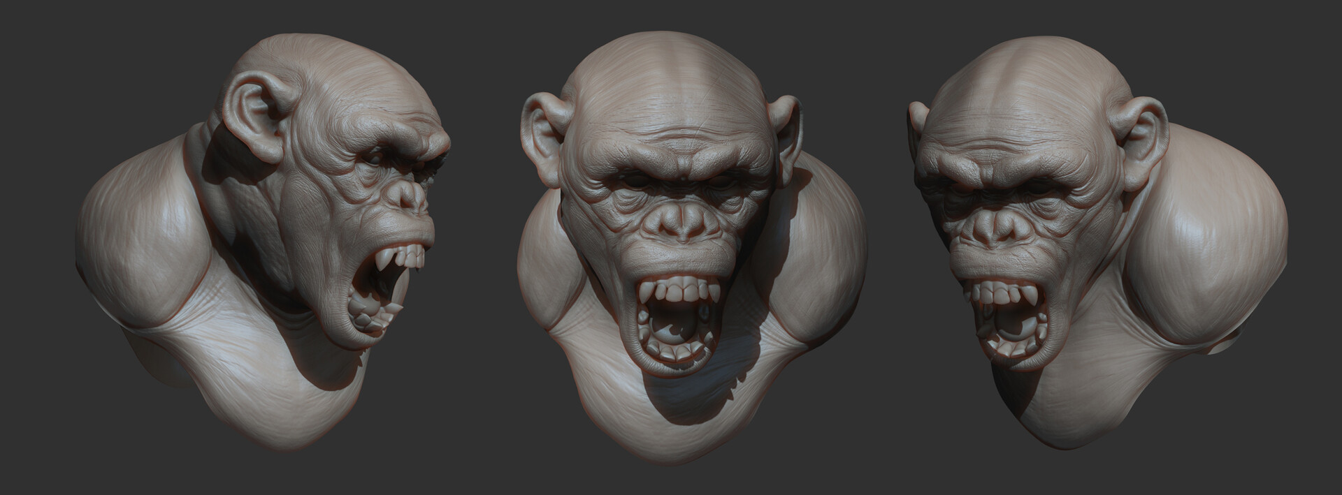 ArtStation - Chimp Study
