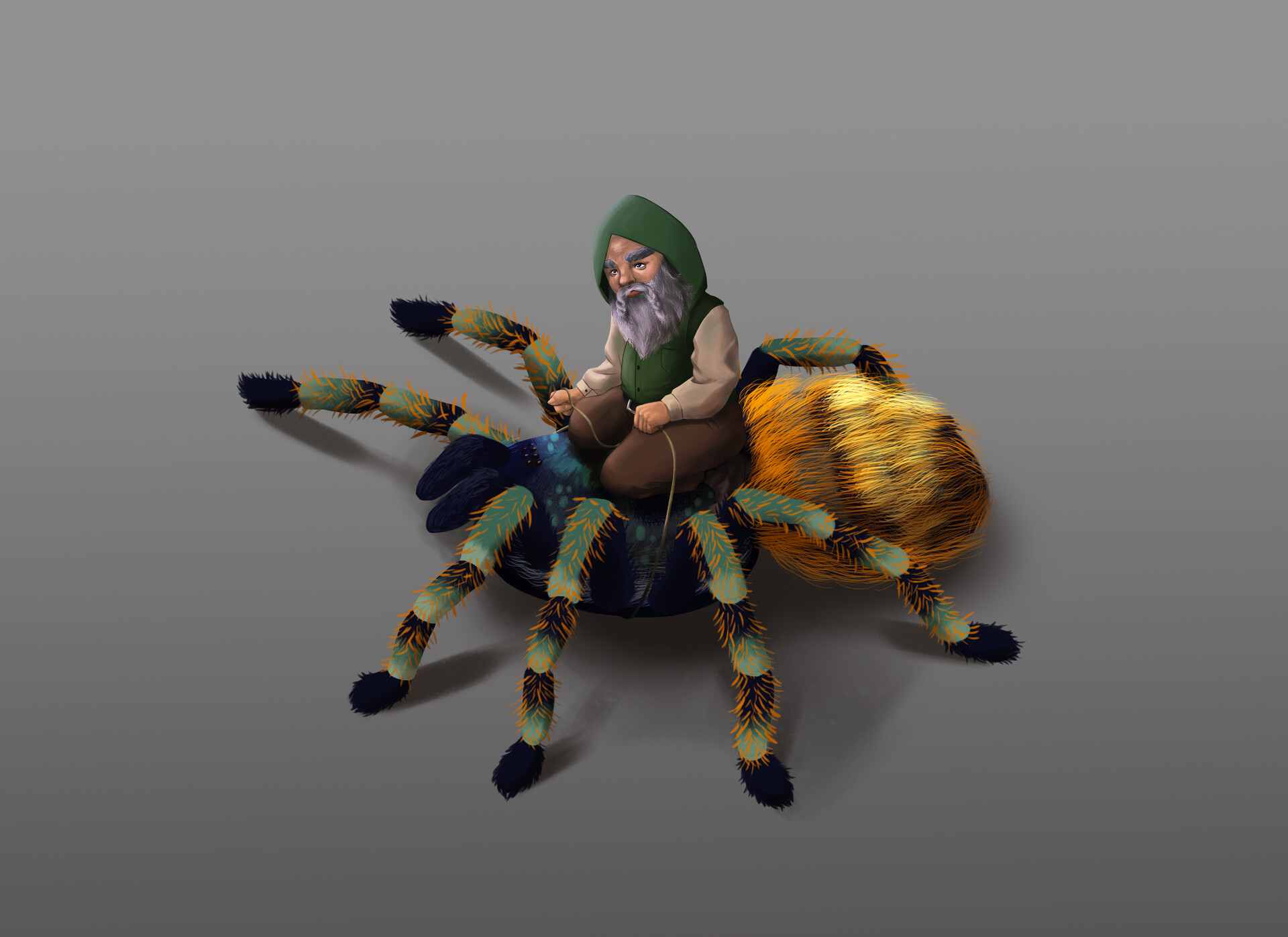 ArtStation - Spider rider