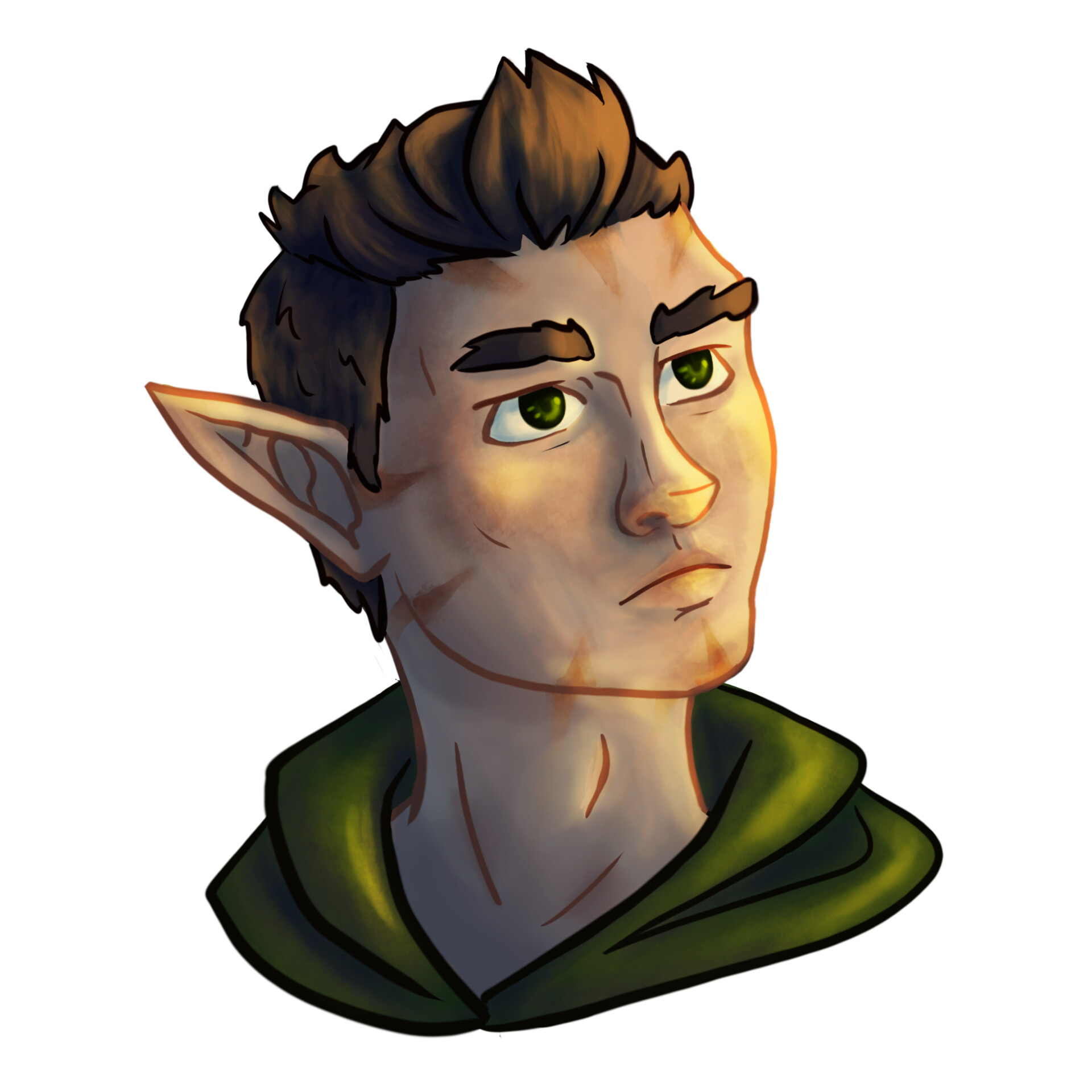 RaeofFrost - Fenn Var'Muscaria, Wood Elf Rogue Gloom Stalker Ranger