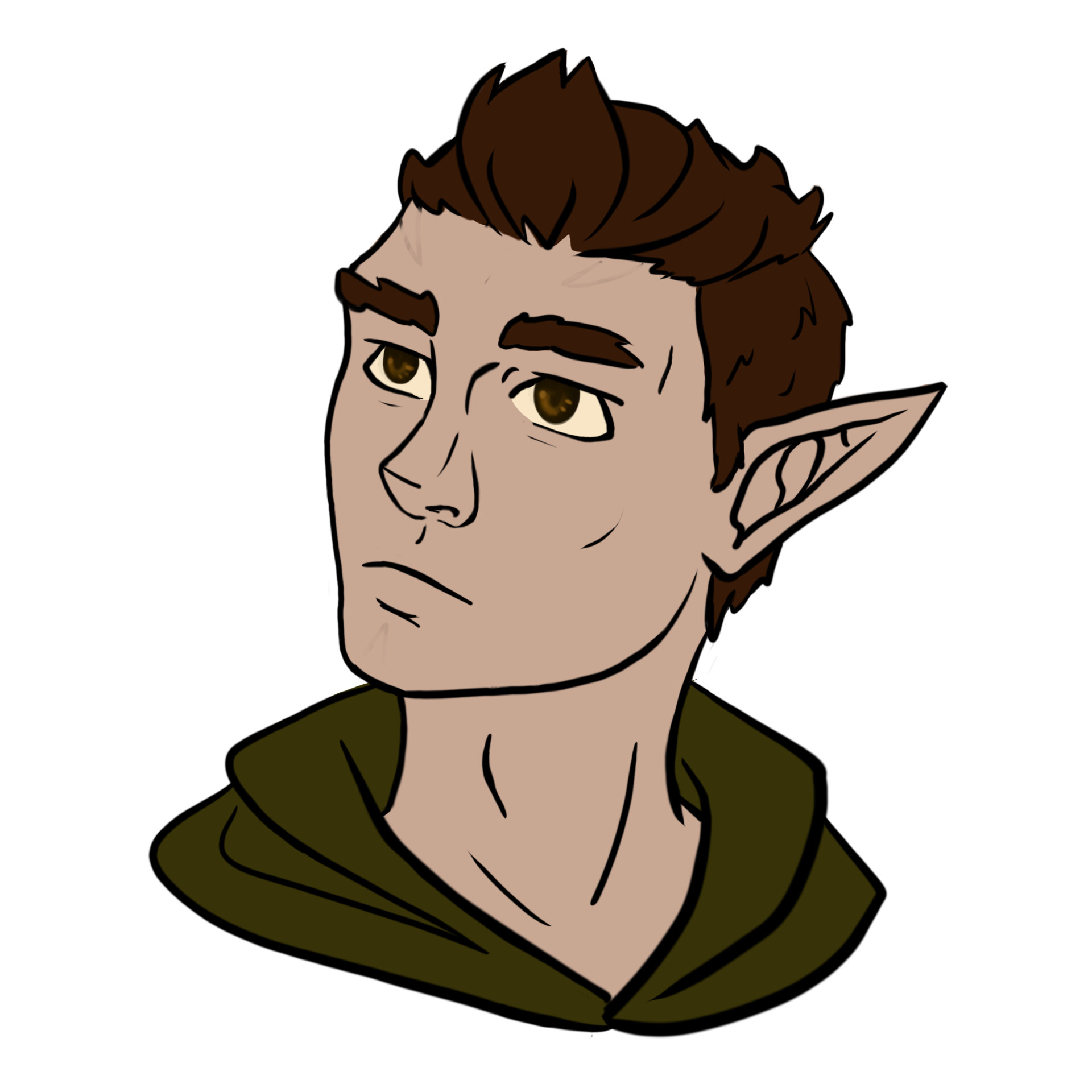 RaeofFrost - Fenn Var'Muscaria, Wood Elf Rogue Gloom Stalker Ranger