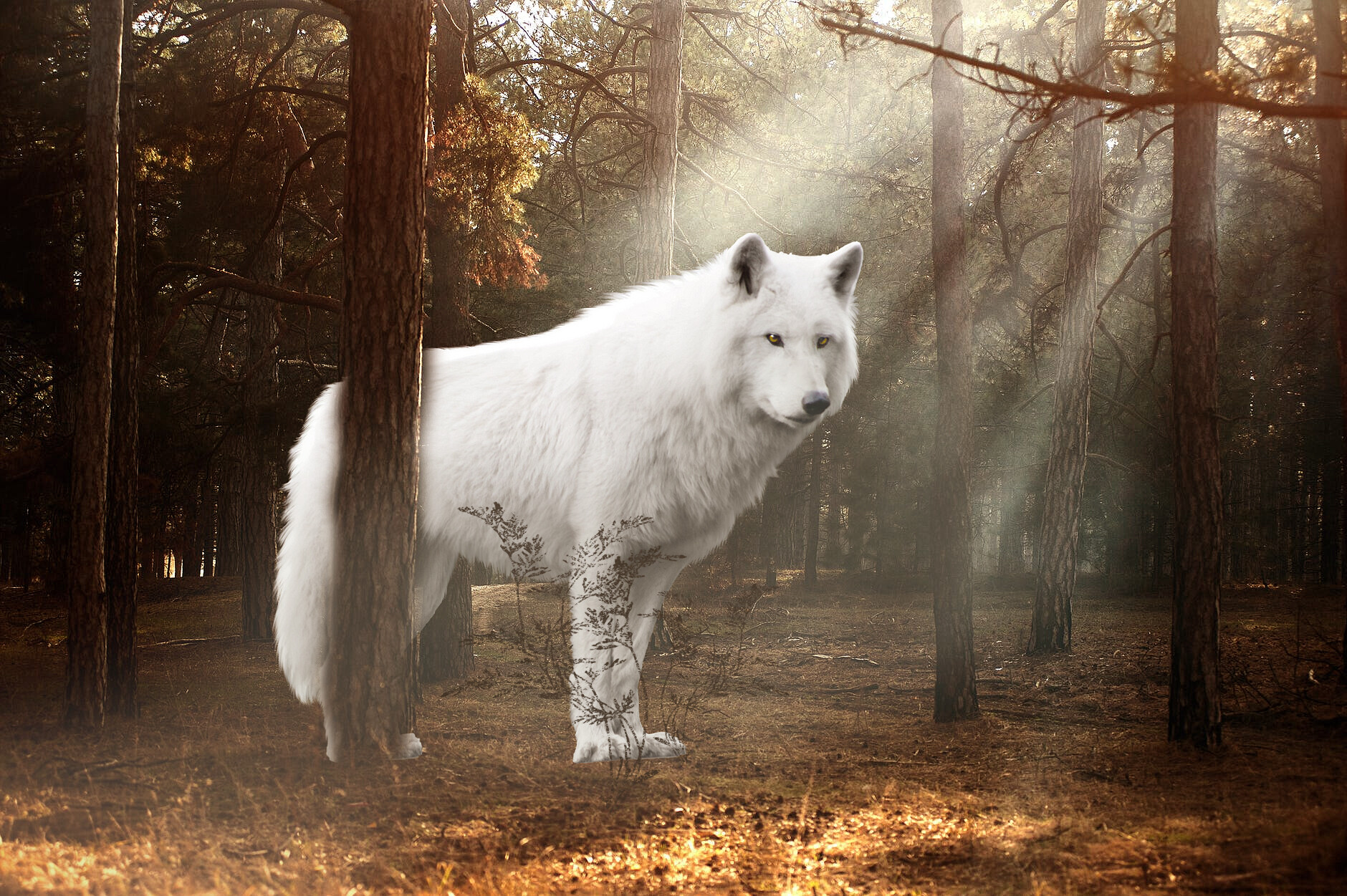 ArtStation - Visitor