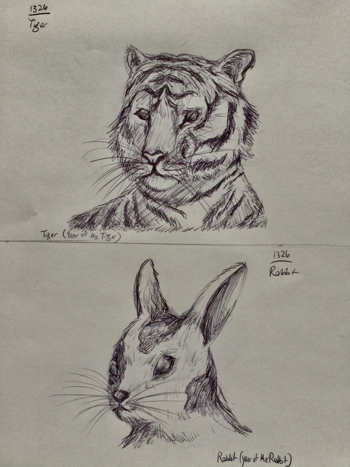 ArtStation - Tiger and Rabbit