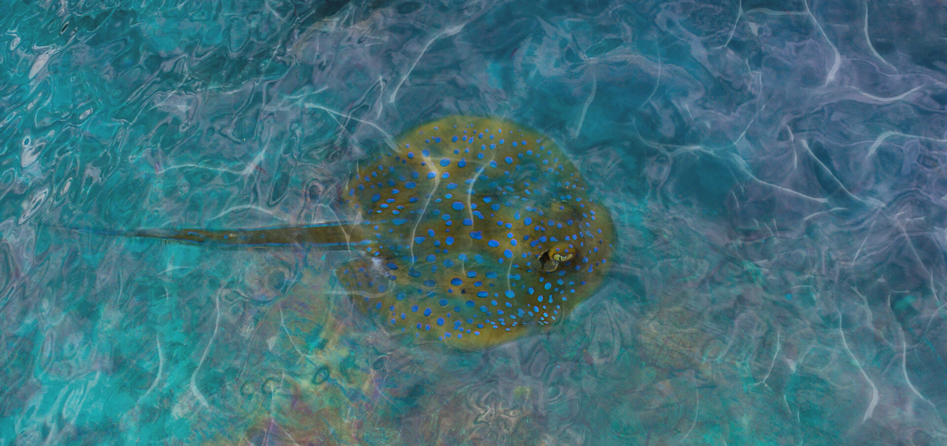 ArtStation - Ocean Colors