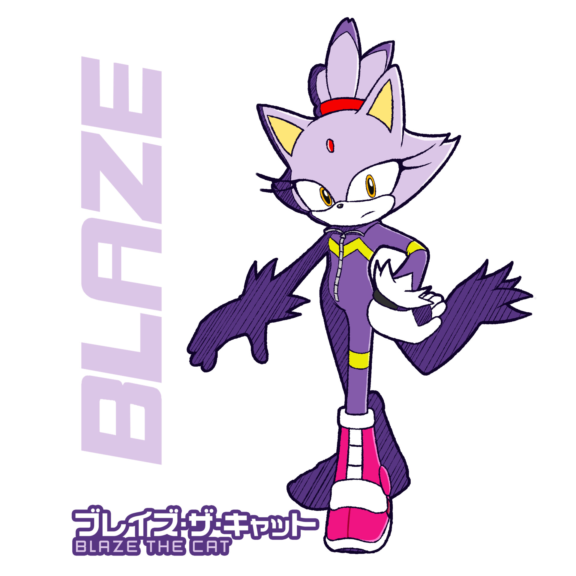 Sonic Riders Characters