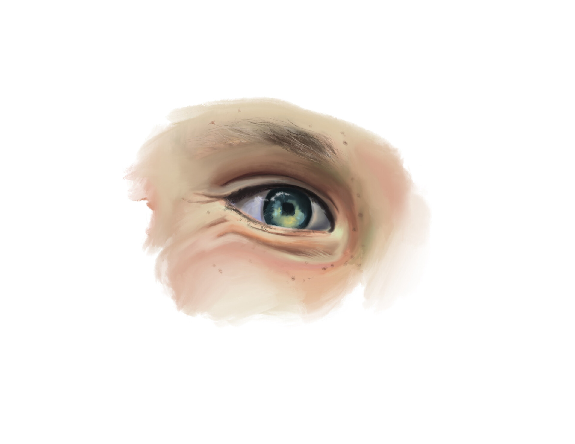 ArtStation - Quick Eye Study