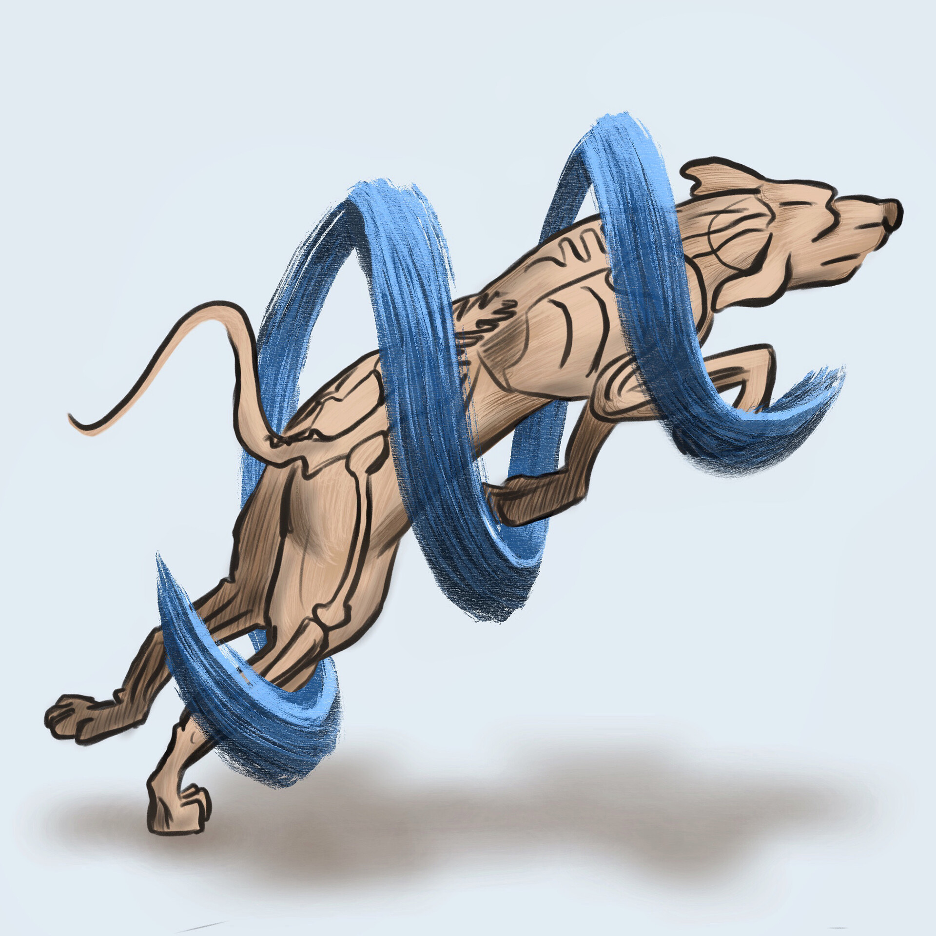 ArtStation - Dog & Skeleton