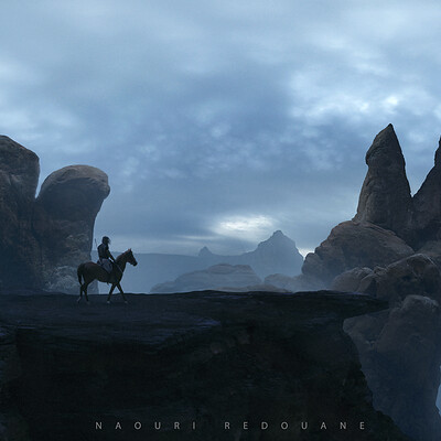 Naouri Redouane