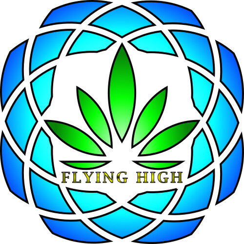 ArtStation - Flying_High_Logo