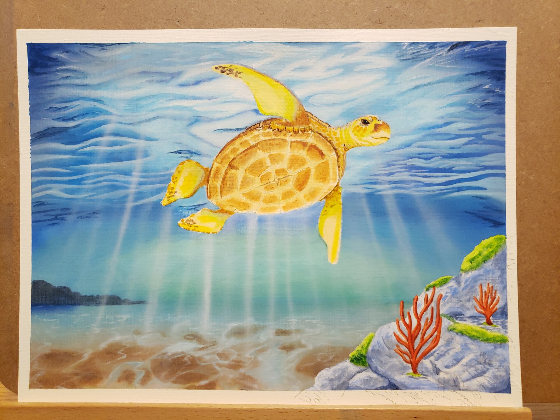 Turtle Acrylic Painting