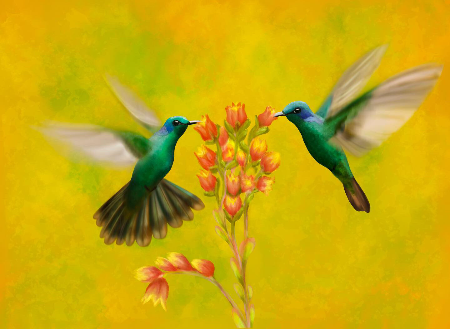 ArtStation - Hummingbirds