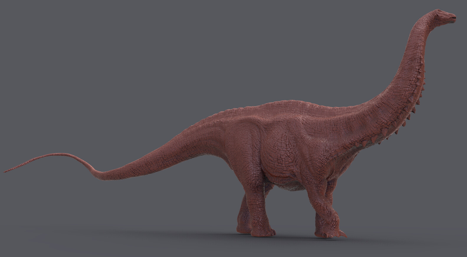 Emi Nakasuka - Apatosaurus louisae