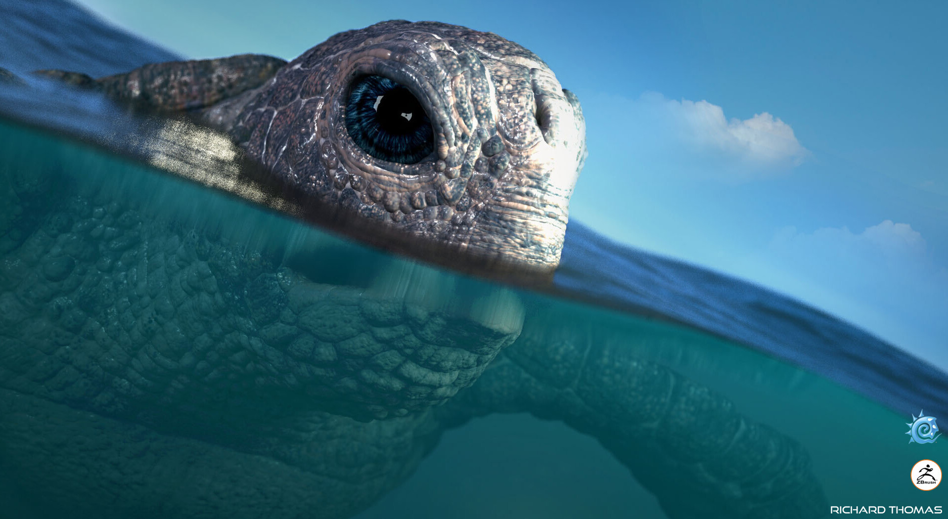 ArtStation - Green Sea Turtle