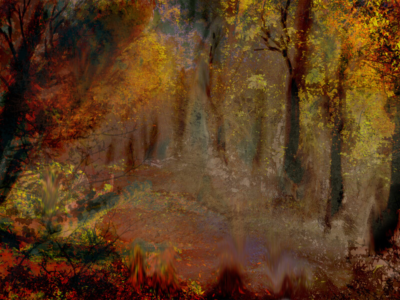 ArtStation - Sheza Rani