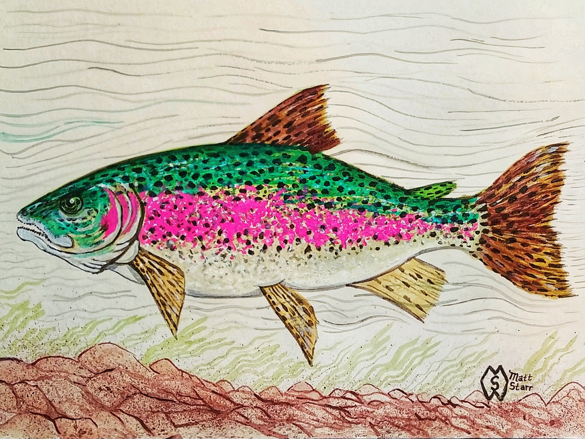 ArtStation - Rainbow Trout in the Stream