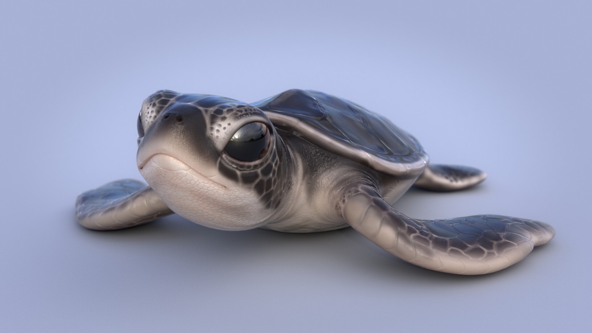 ArtStation - Hyundai Kona -Sea turtle Baby