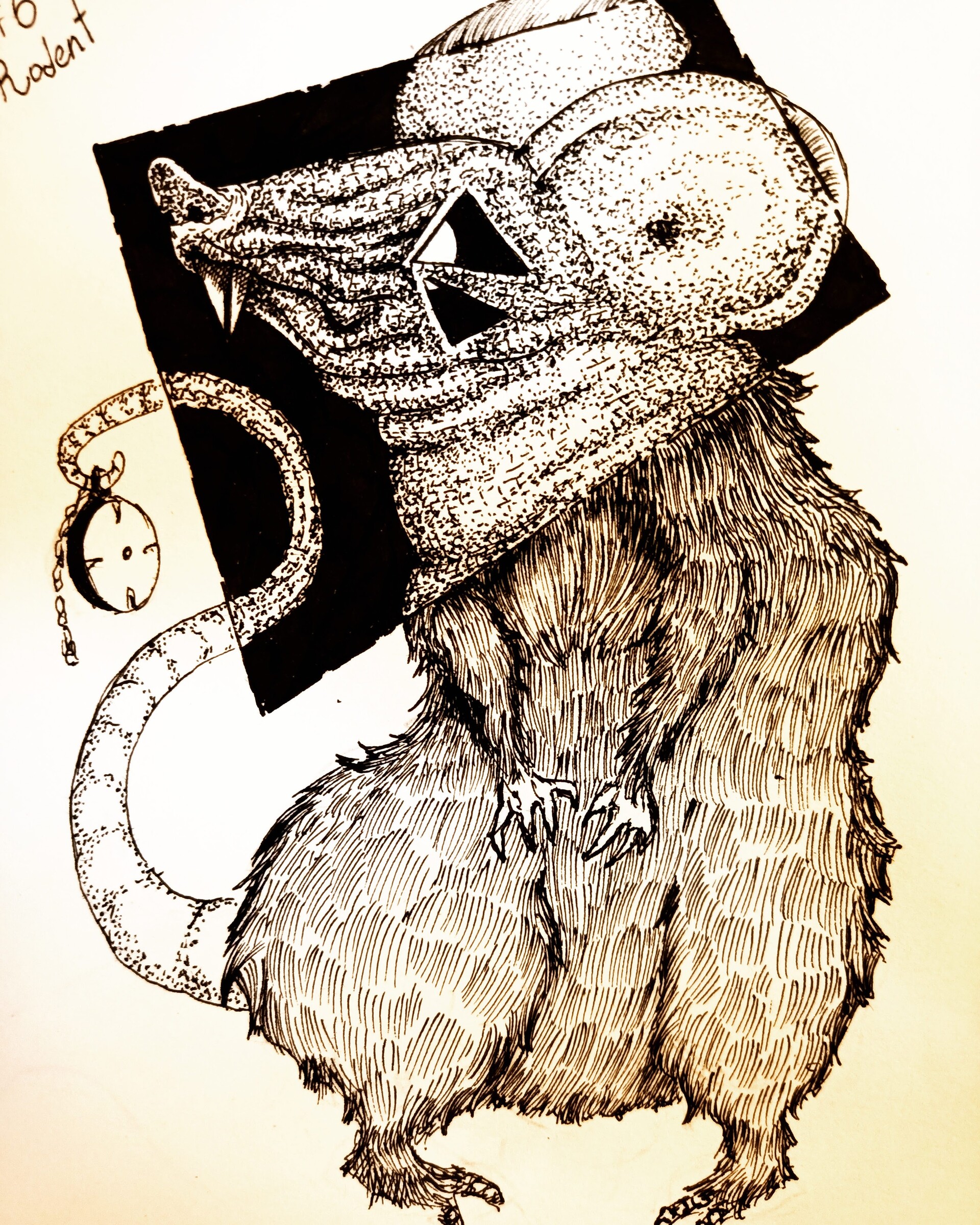 ArtStation - Rodent.