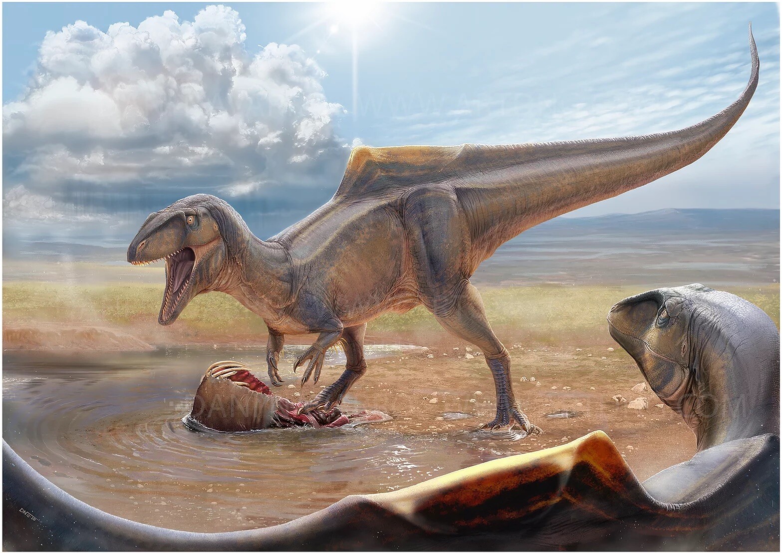 ArtStation - Concavenator corcovatus