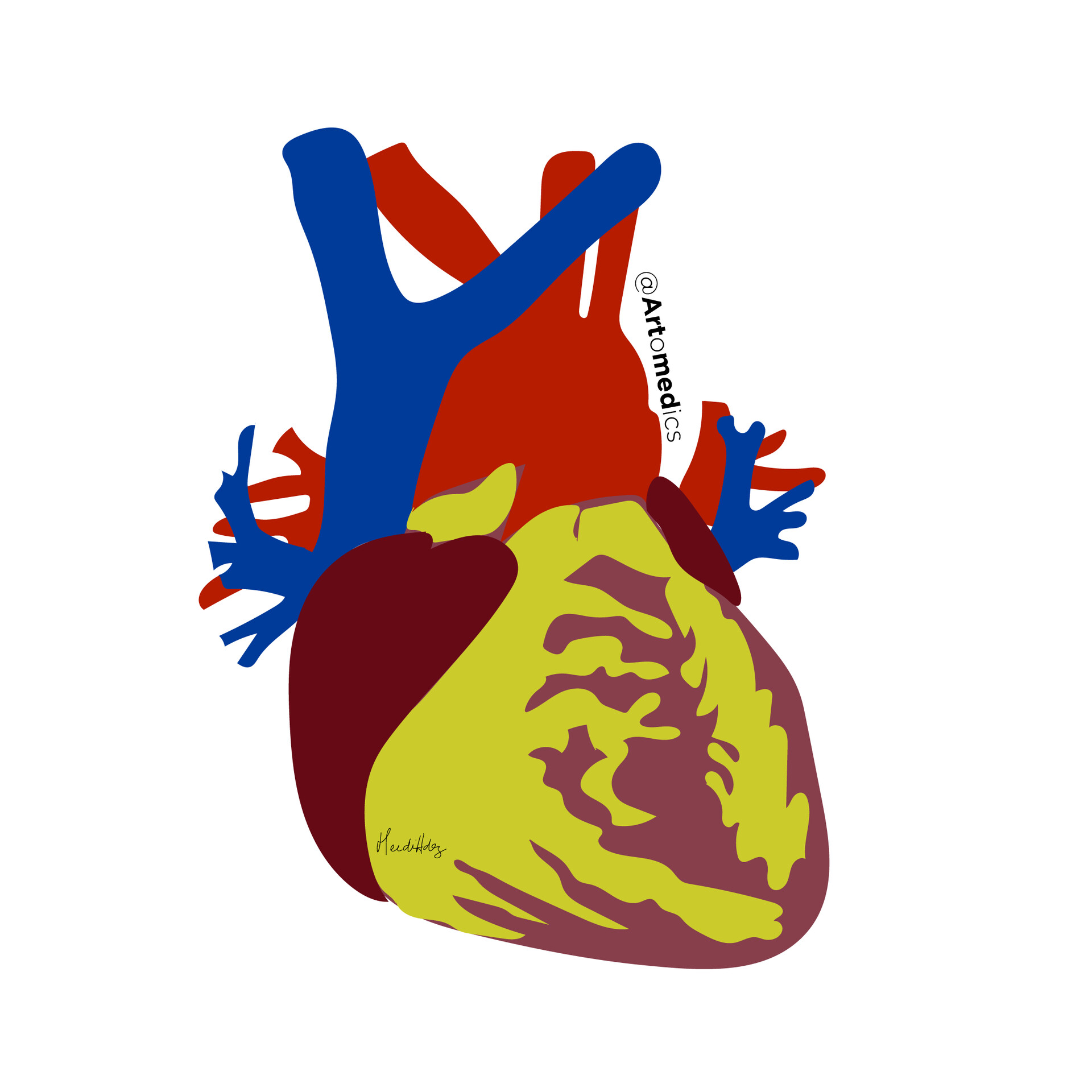 ArtStation - Heart (vector), Heidi H. MD | Artomedics Studio