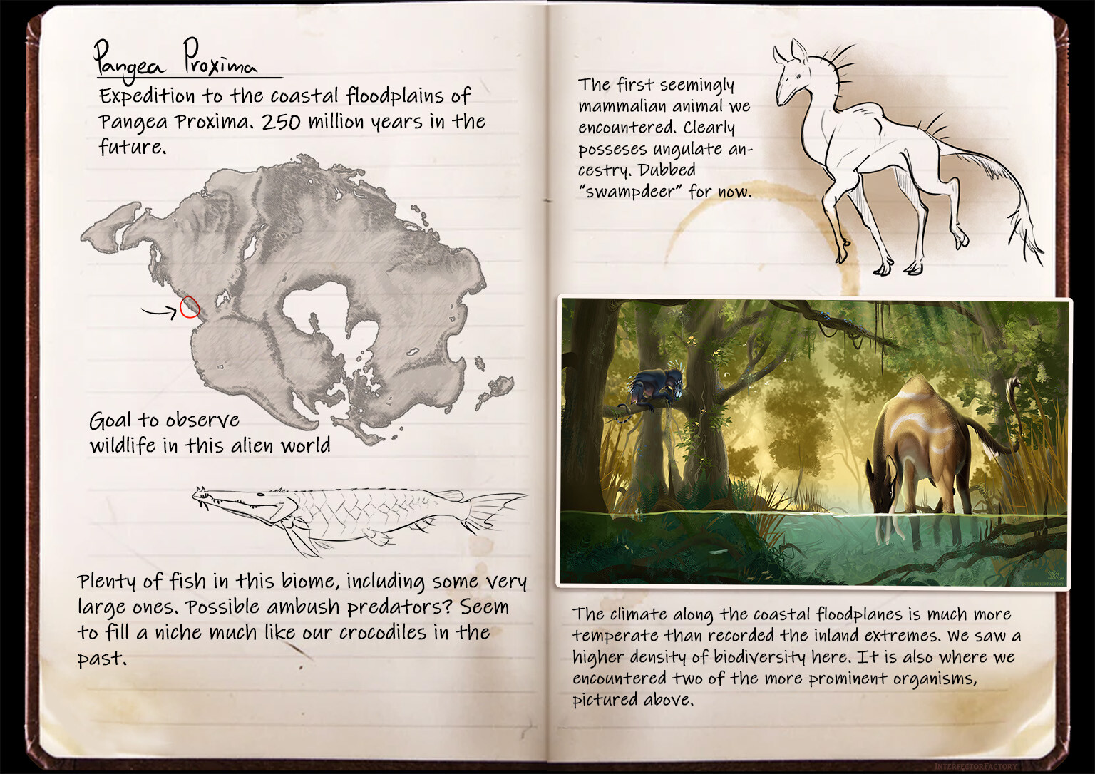 speculative evolutio