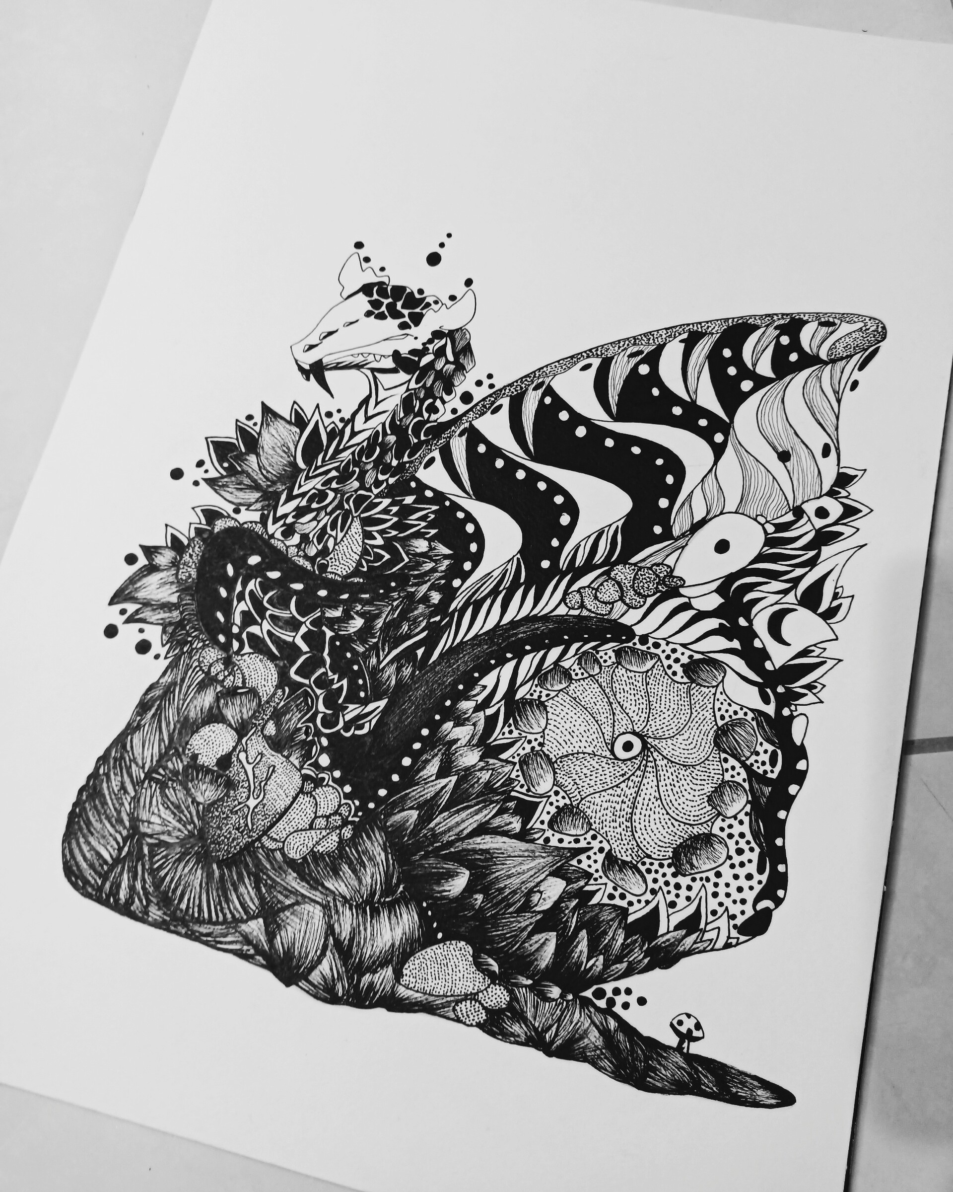 ArtStation - Dragon Butterfly