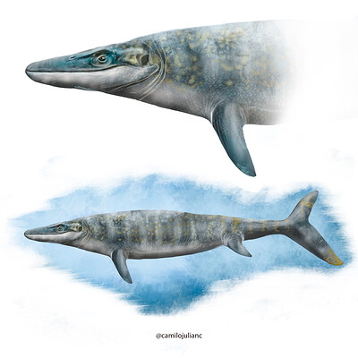 César Camilo Julián Caballero